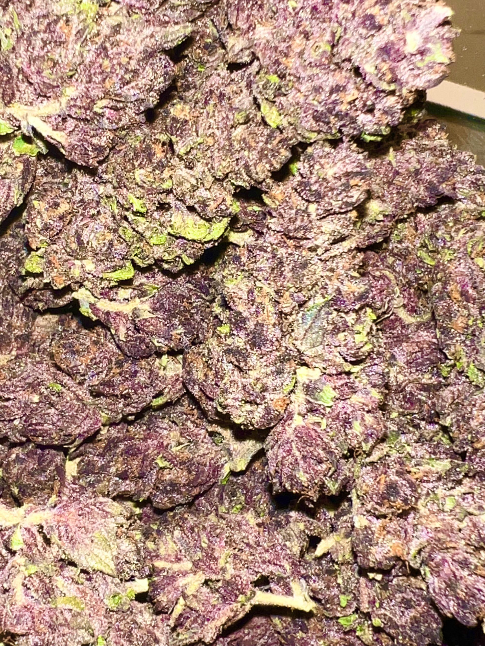 Grand Daddy Purp THCa | HighForestReleaf